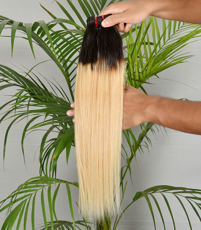 CLASSIC WEFT EXTENSION – Epitomeofhair